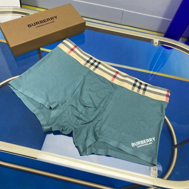 Real Burberry Underwear