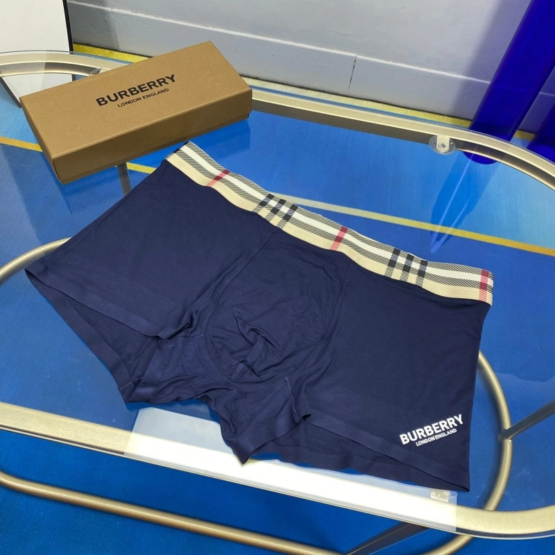 Real Burberry Underwear