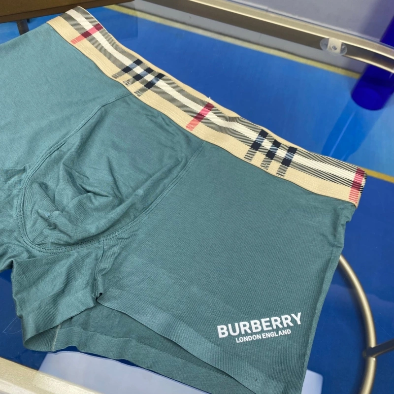 Real Burberry Underwear