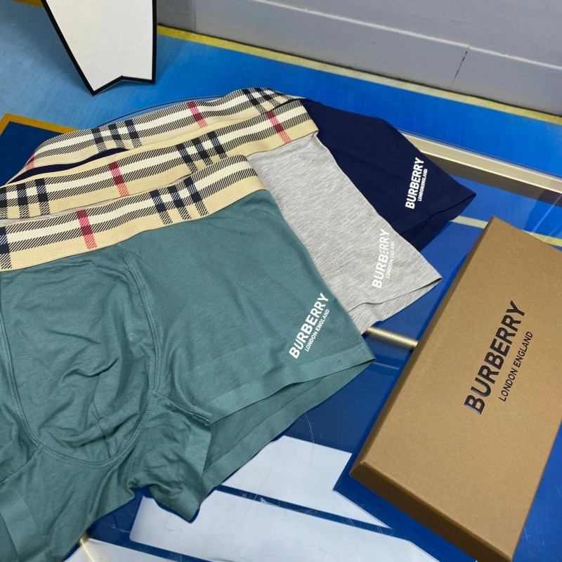 Real Burberry Underwear