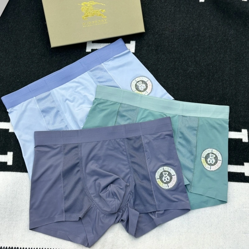 Economical Burberry Underwear