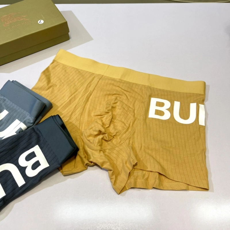 Reasonably priced Burberry Underwear