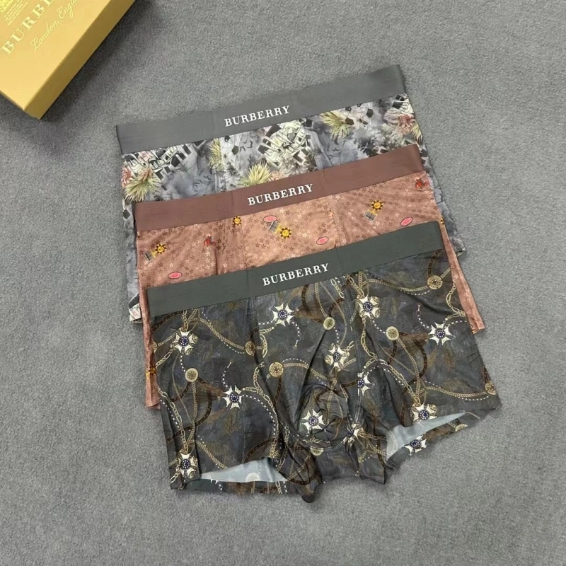 Mirror quality Burberry Underwear