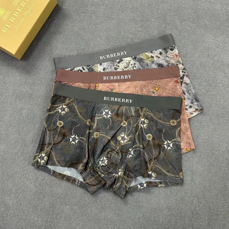 Mirror quality Burberry Underwear