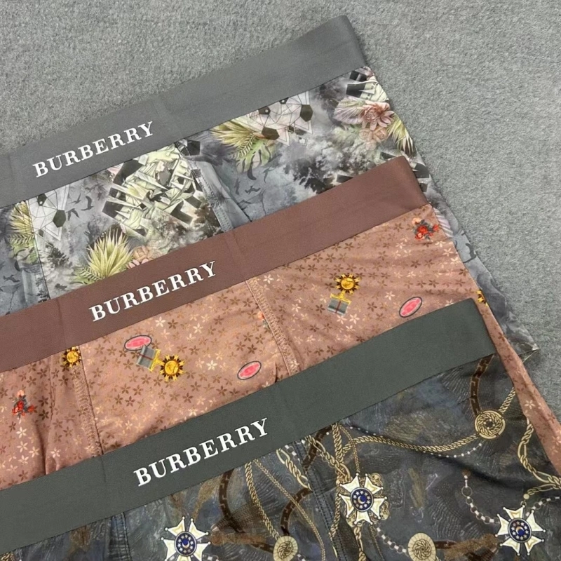 Mirror quality Burberry Underwear