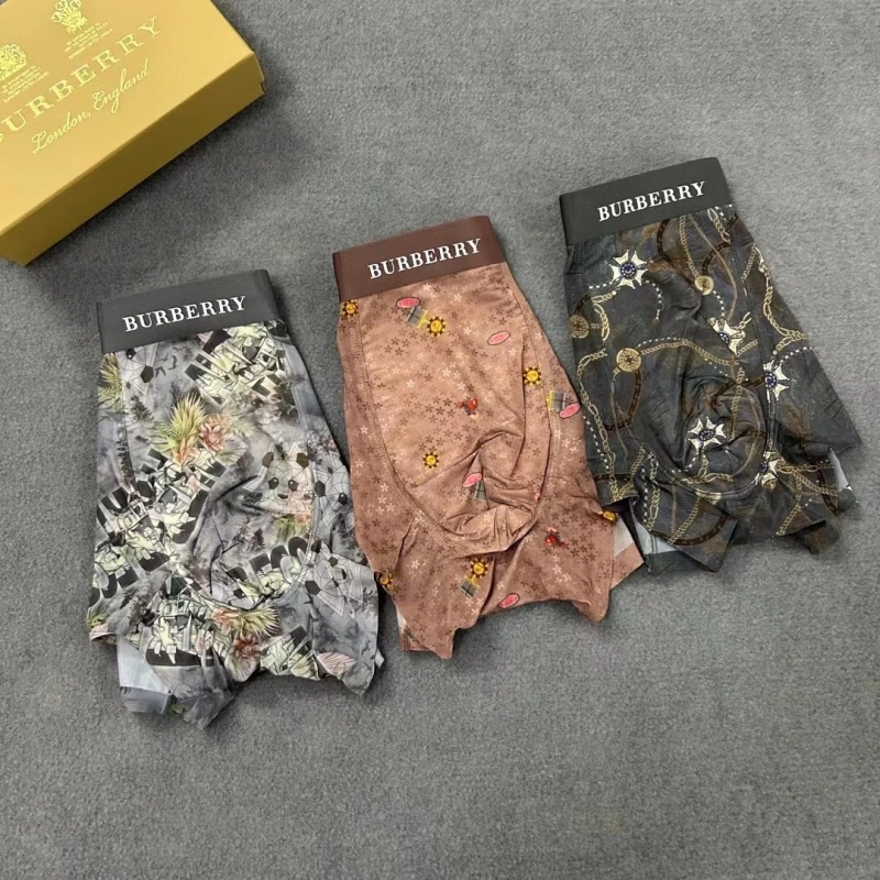 Mirror quality Burberry Underwear