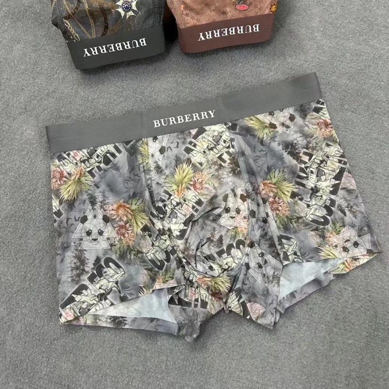 Mirror quality Burberry Underwear