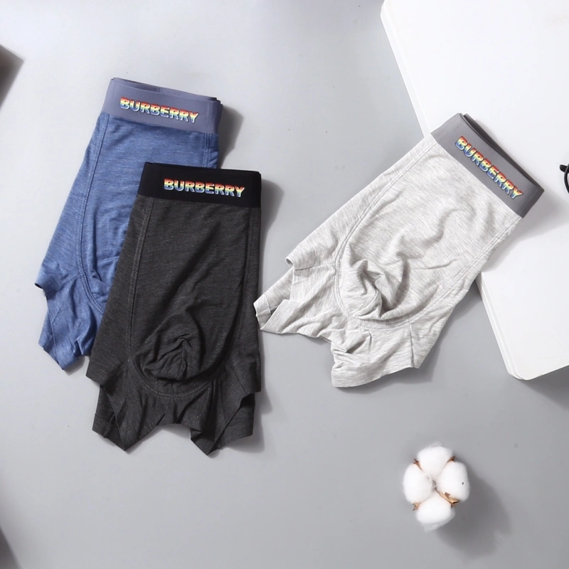Budget-friendly Burberry Underwear