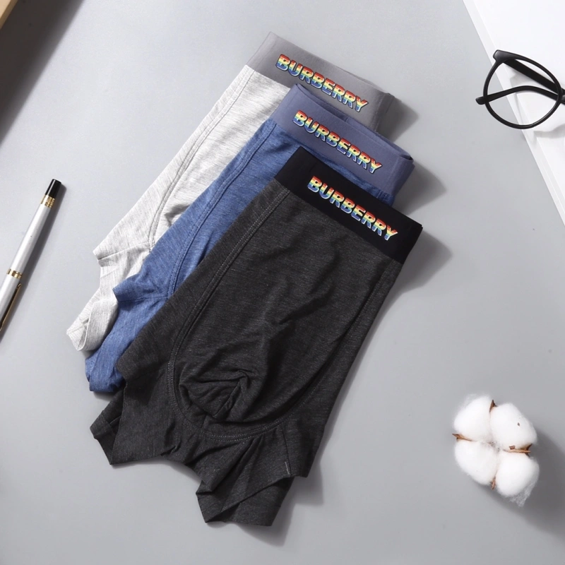Budget-friendly Burberry Underwear