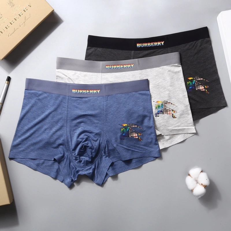 Budget-friendly Burberry Underwear