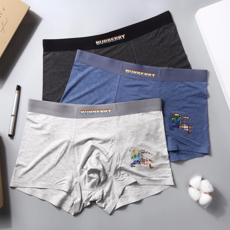 Budget-friendly Burberry Underwear