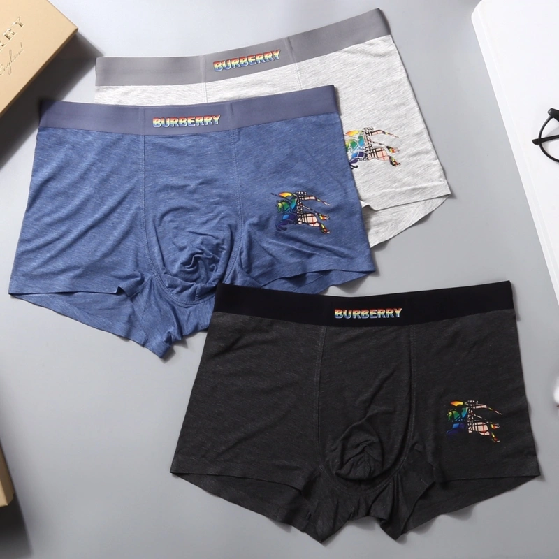 Budget-friendly Burberry Underwear
