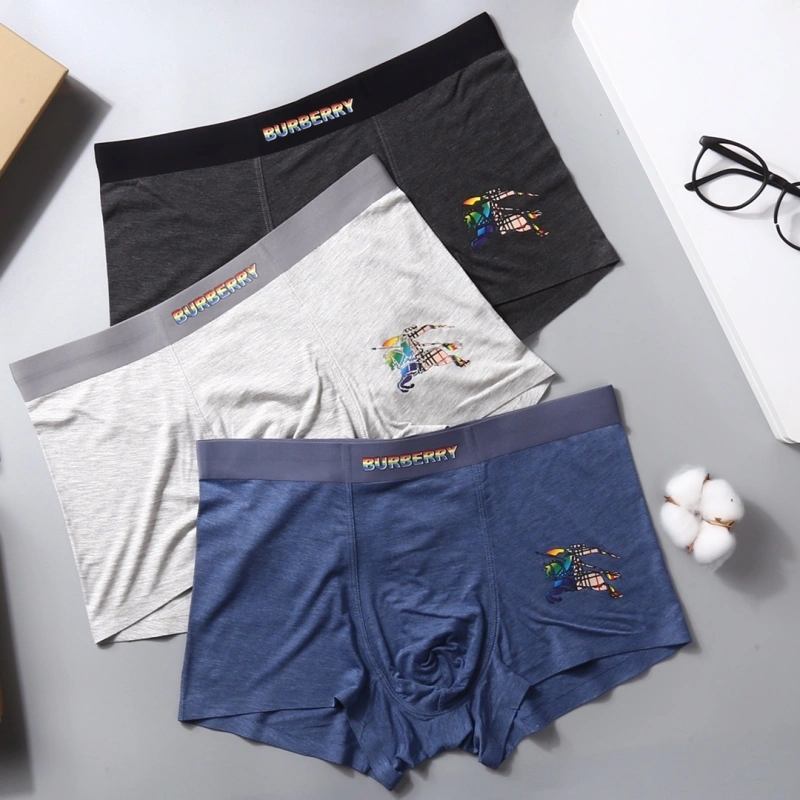 Budget-friendly Burberry Underwear