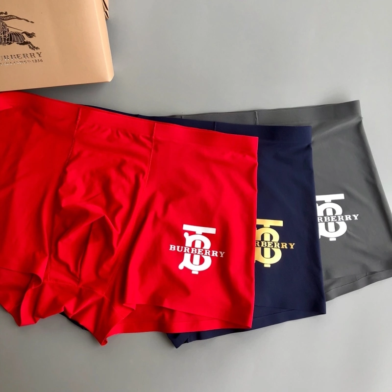 Indistinguishable Burberry Underwear