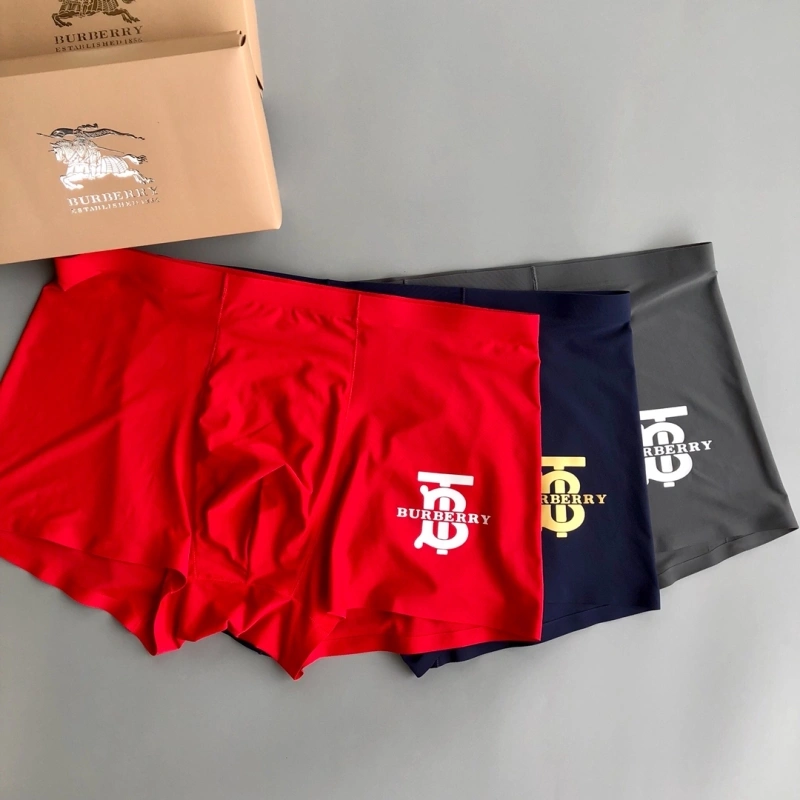 Indistinguishable Burberry Underwear
