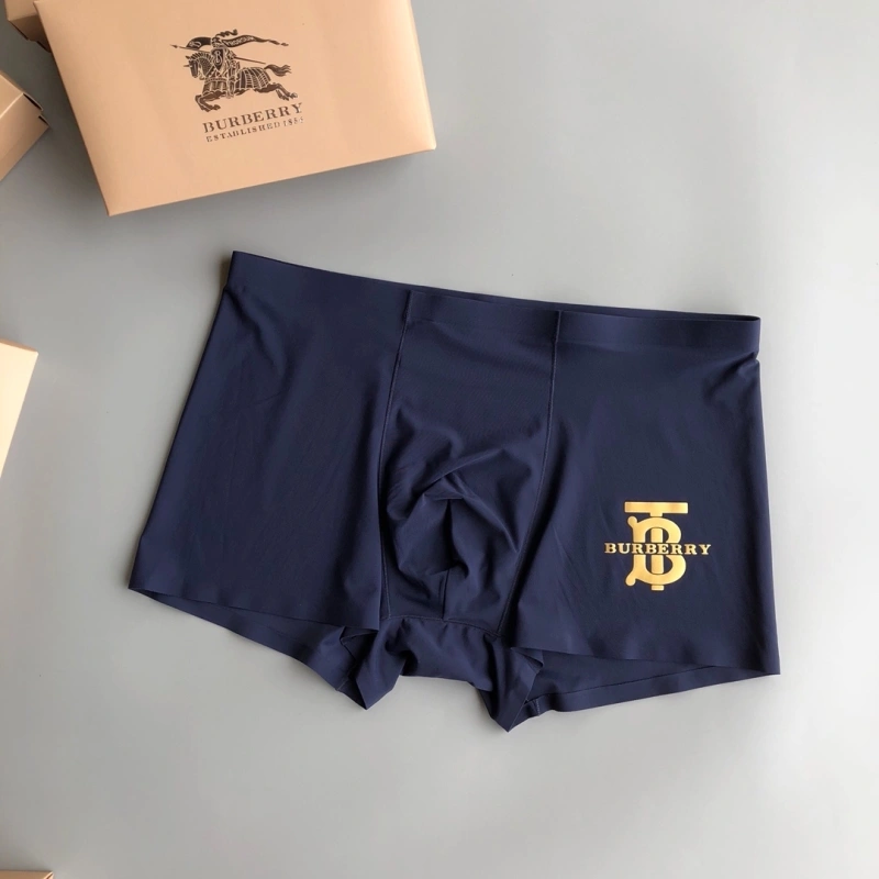 Indistinguishable Burberry Underwear