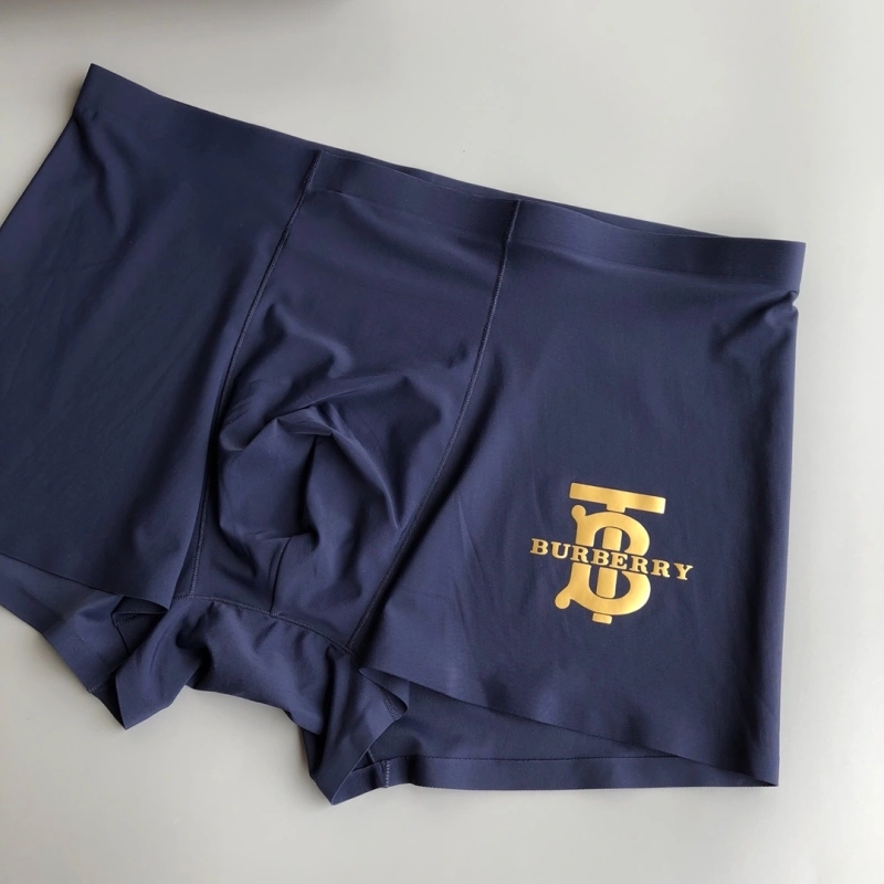 Indistinguishable Burberry Underwear