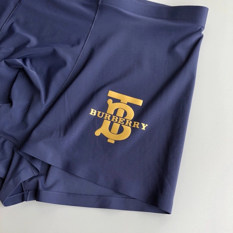 Indistinguishable Burberry Underwear