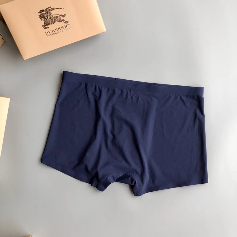 Indistinguishable Burberry Underwear