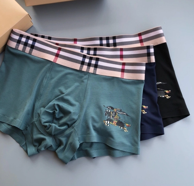 Inexpensive Burberry Underwear