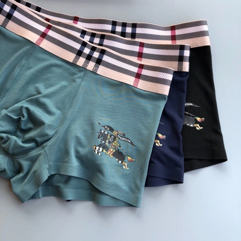 Inexpensive Burberry Underwear
