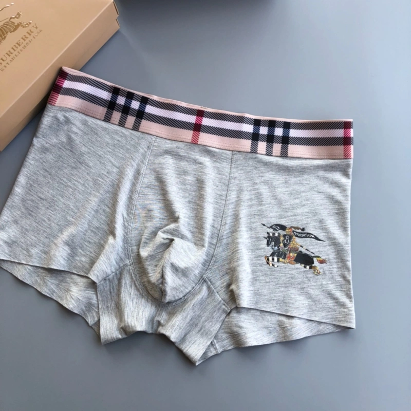 Inexpensive Burberry Underwear