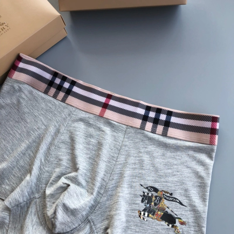 Inexpensive Burberry Underwear