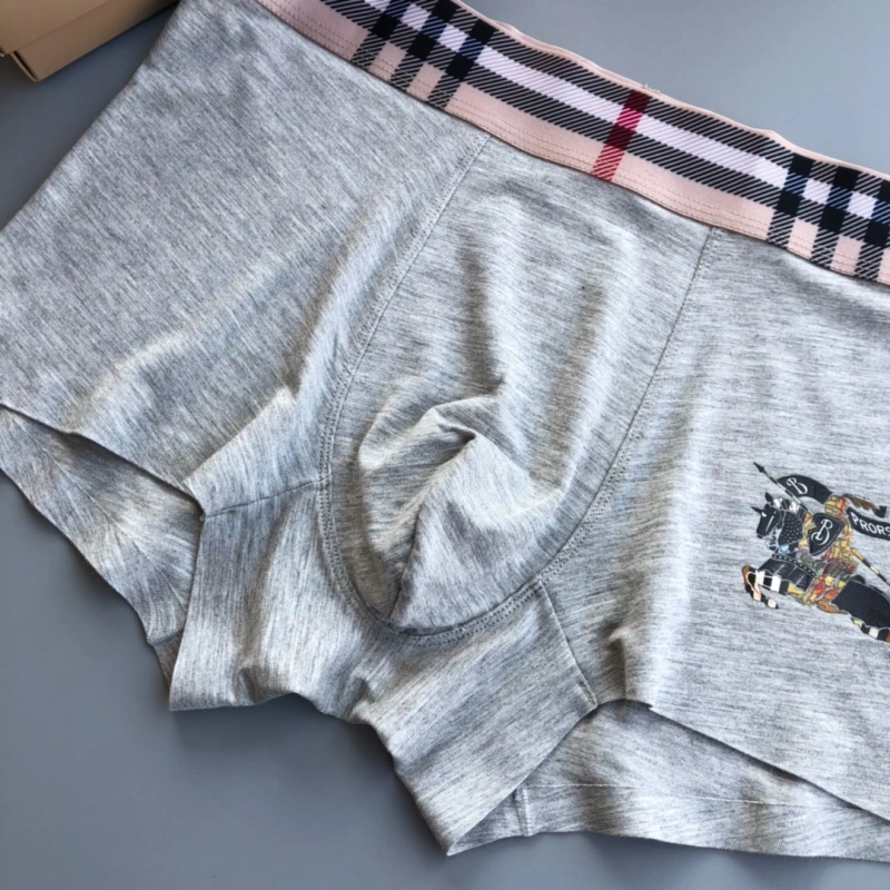 Inexpensive Burberry Underwear