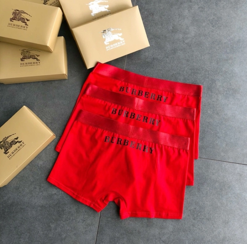 Accurate model Burberry Underwear