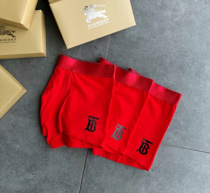 Accurate model Burberry Underwear