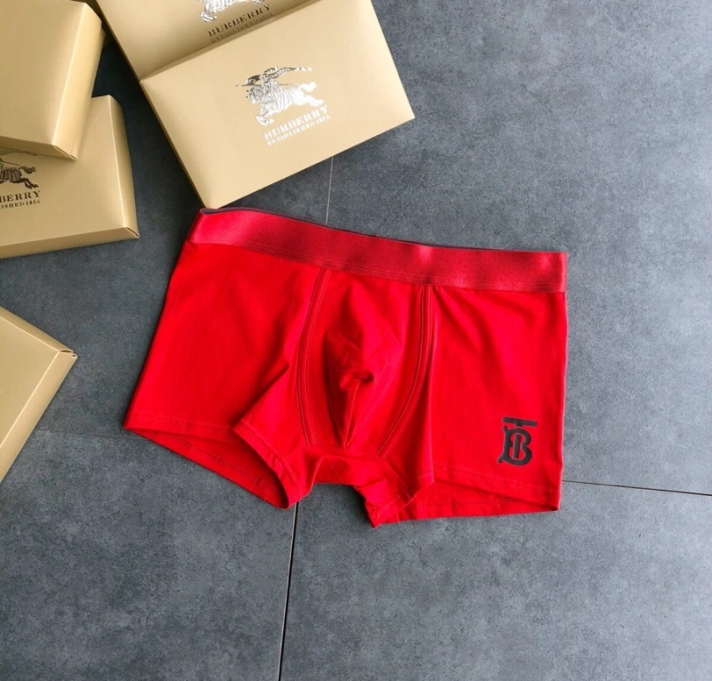 Accurate model Burberry Underwear