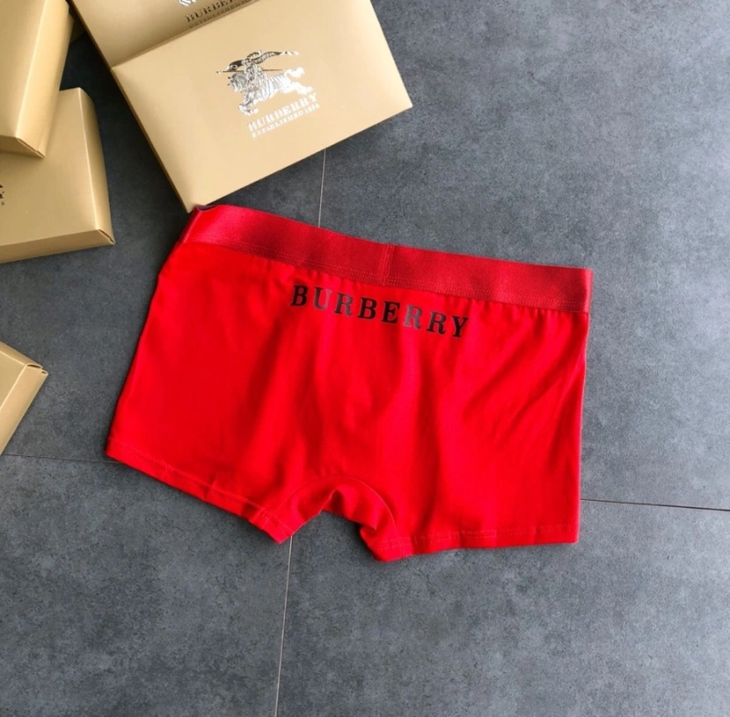 Accurate model Burberry Underwear