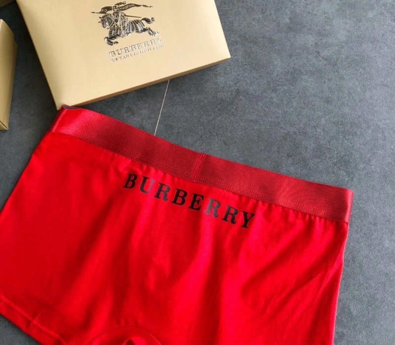 Accurate model Burberry Underwear