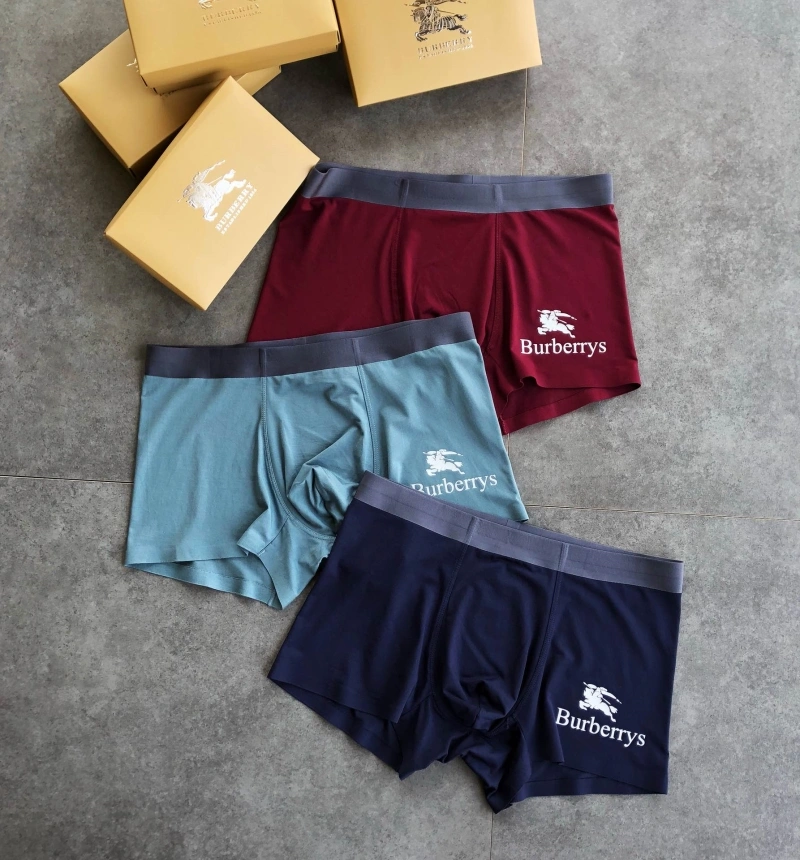Accurate model Burberry Underwear