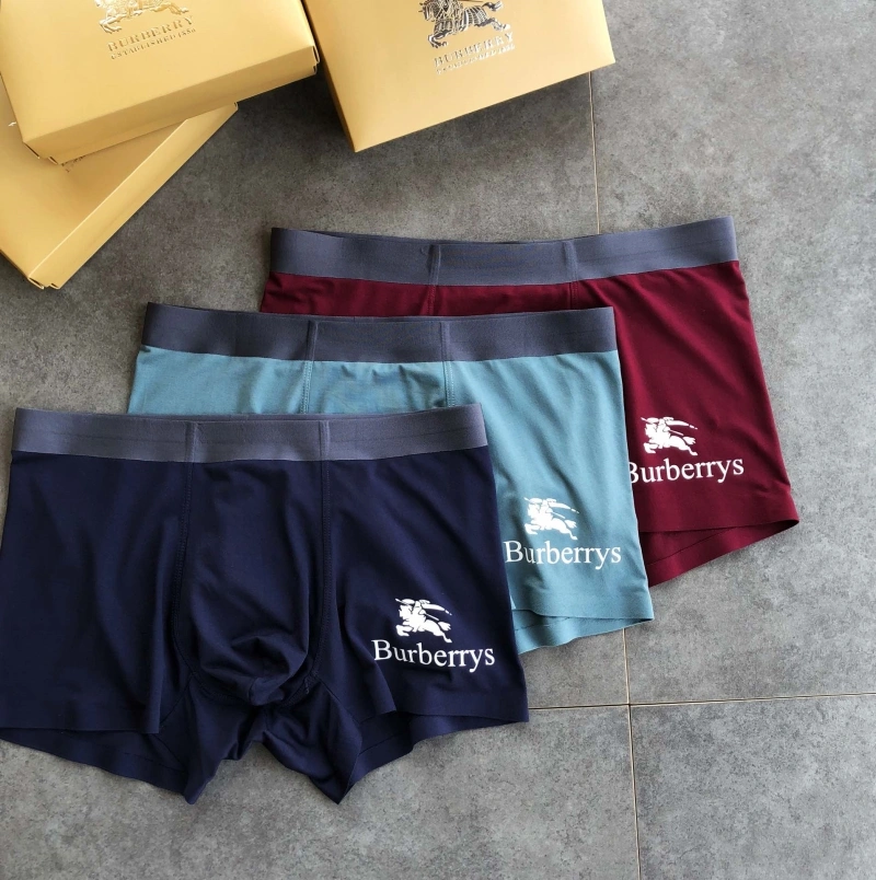 Accurate model Burberry Underwear
