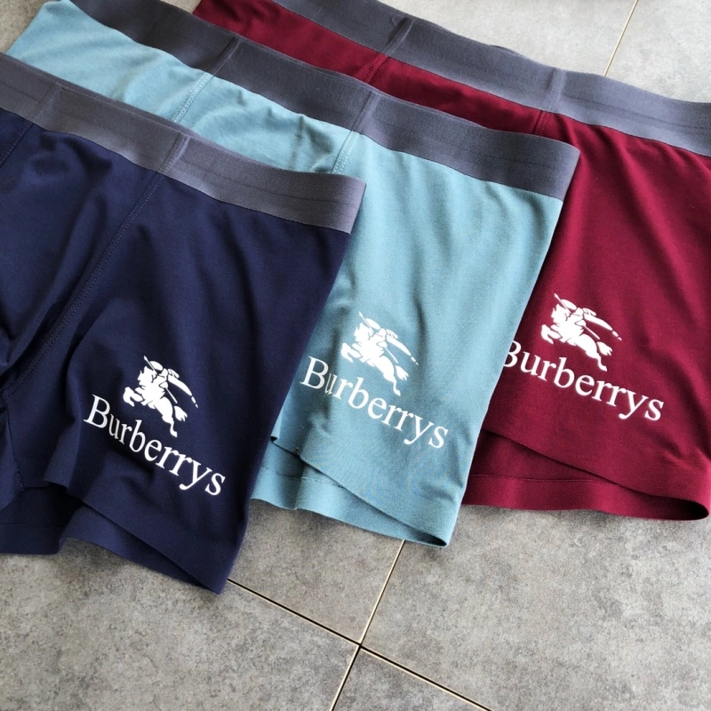 Accurate model Burberry Underwear