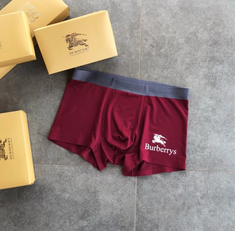 Accurate model Burberry Underwear