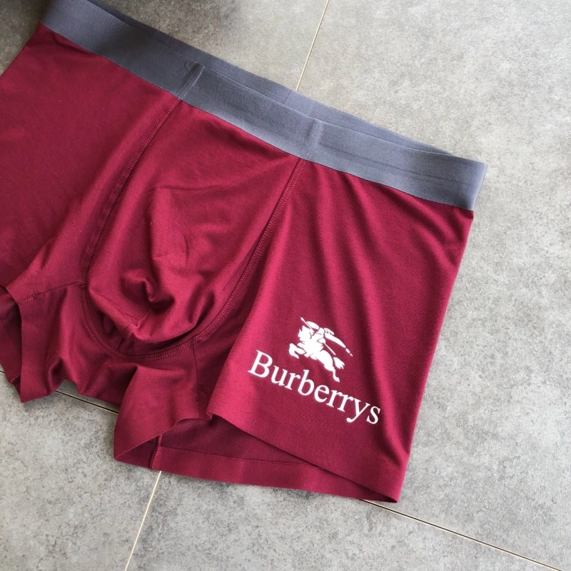 Accurate model Burberry Underwear