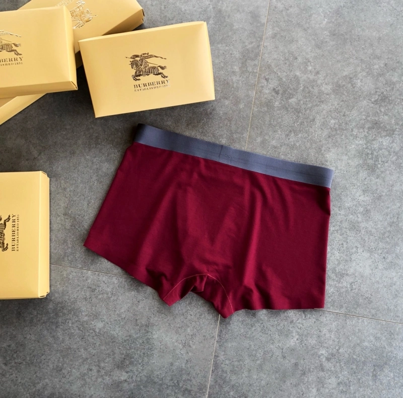 Accurate model Burberry Underwear
