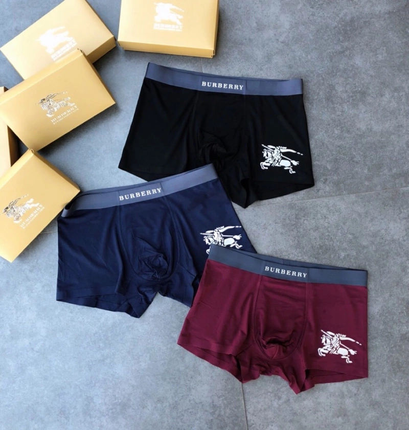 Reasonably priced Burberry Underwear
