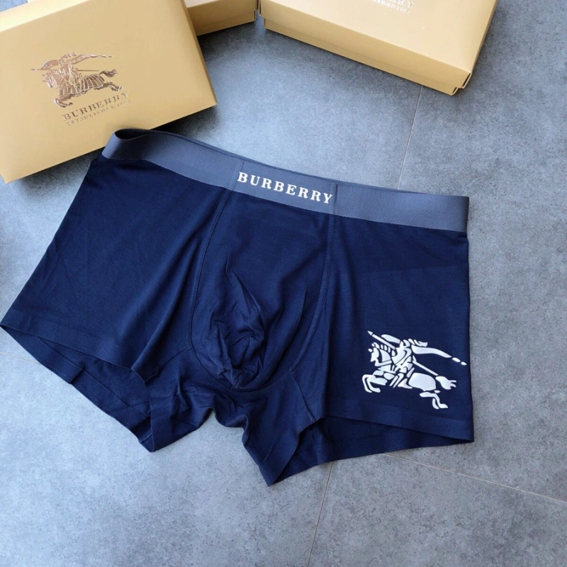 Reasonably priced Burberry Underwear