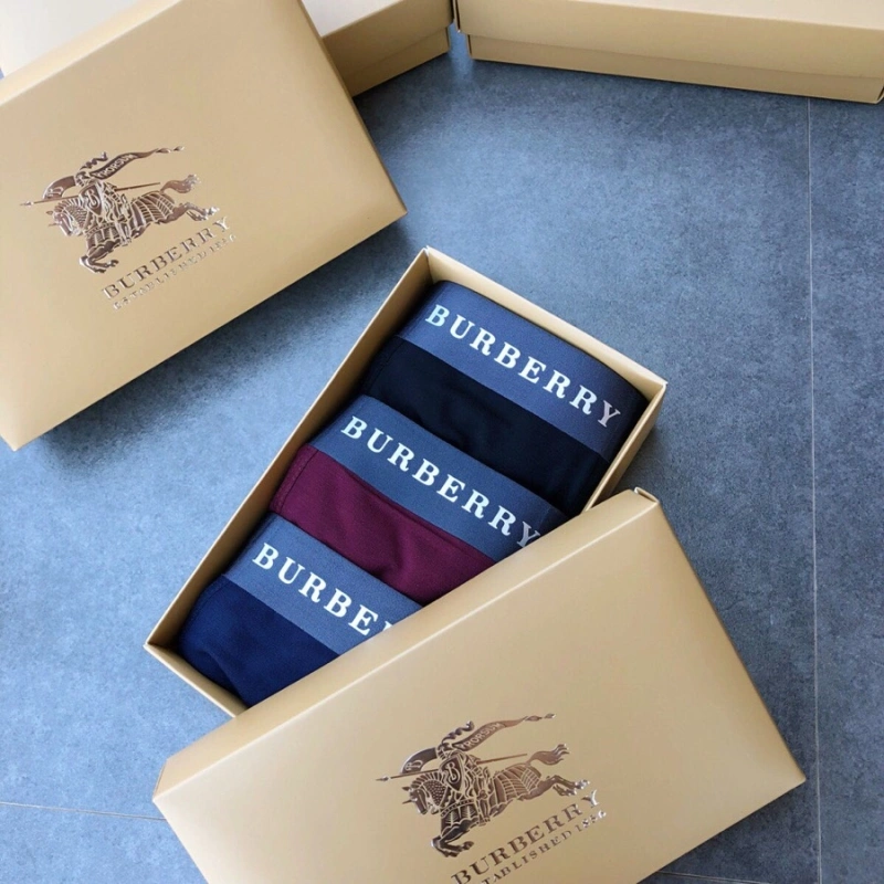 Reasonably priced Burberry Underwear