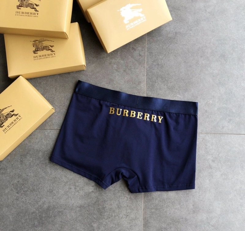 Authentic Burberry Underwear