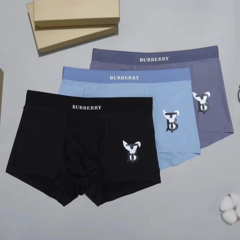 High accuracy Burberry Underwear