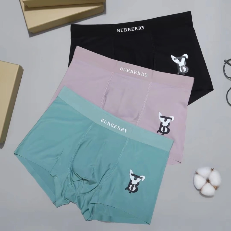 High accuracy Burberry Underwear