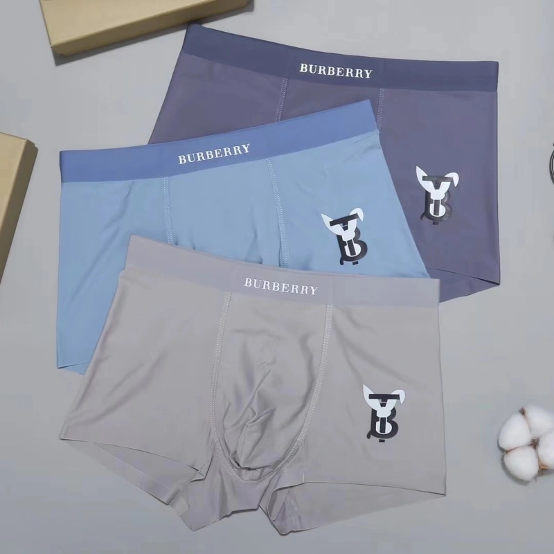 High accuracy Burberry Underwear