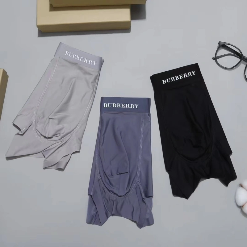 High accuracy Burberry Underwear