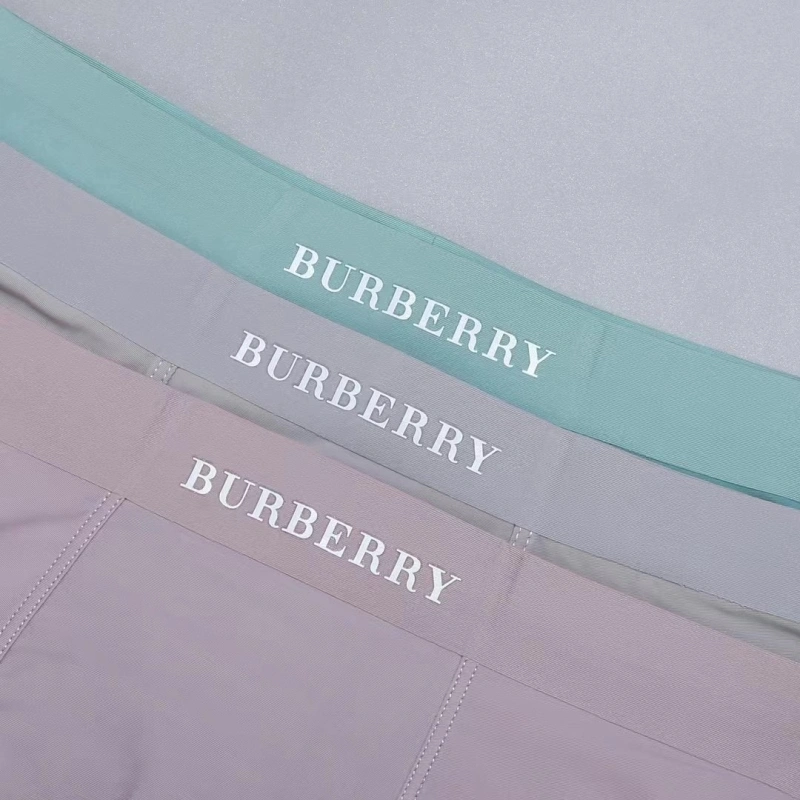 High accuracy Burberry Underwear