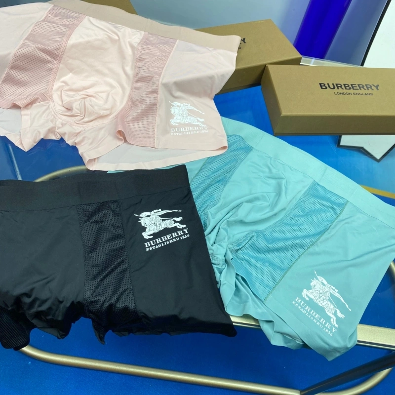 Real Burberry Underwear