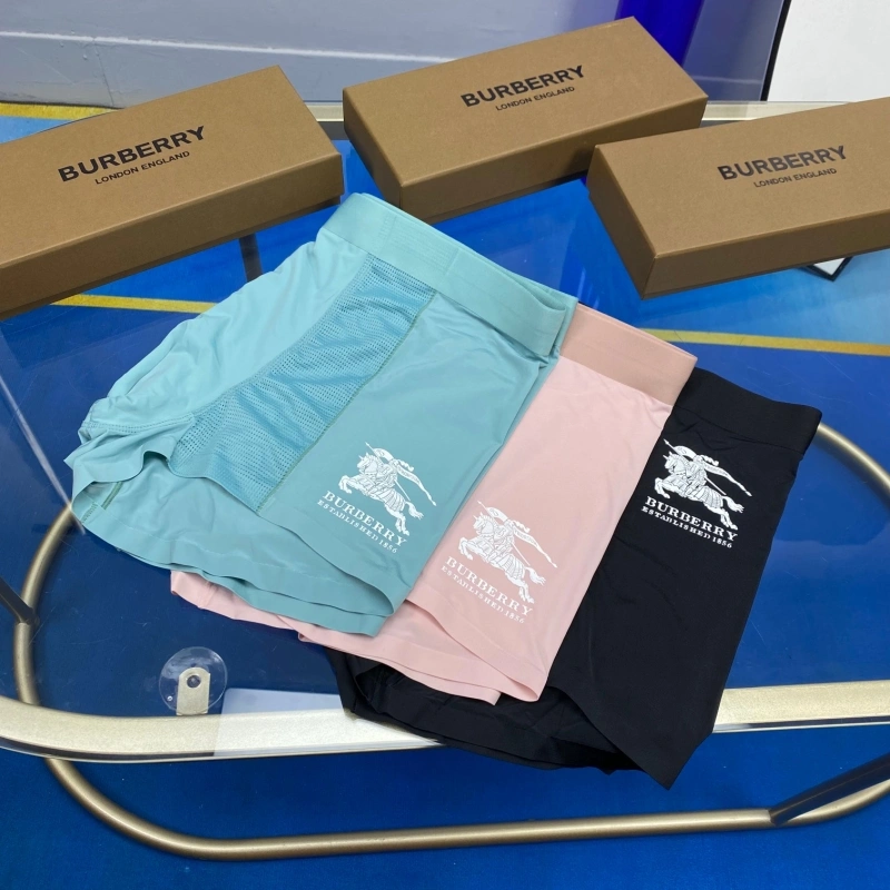 Real Burberry Underwear